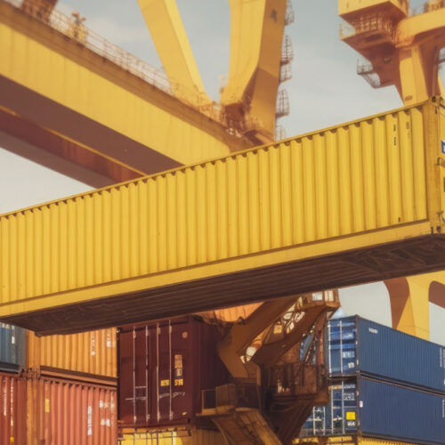 Non-returnable Items - D2C Order Management Tool | OrderZup